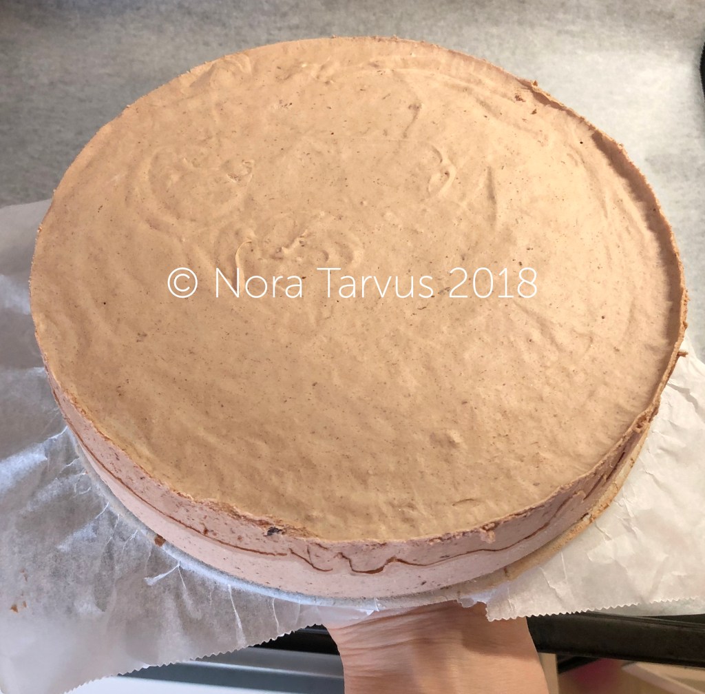 Chocolate Raspberry Mirror Cake – Dreamer Achiever