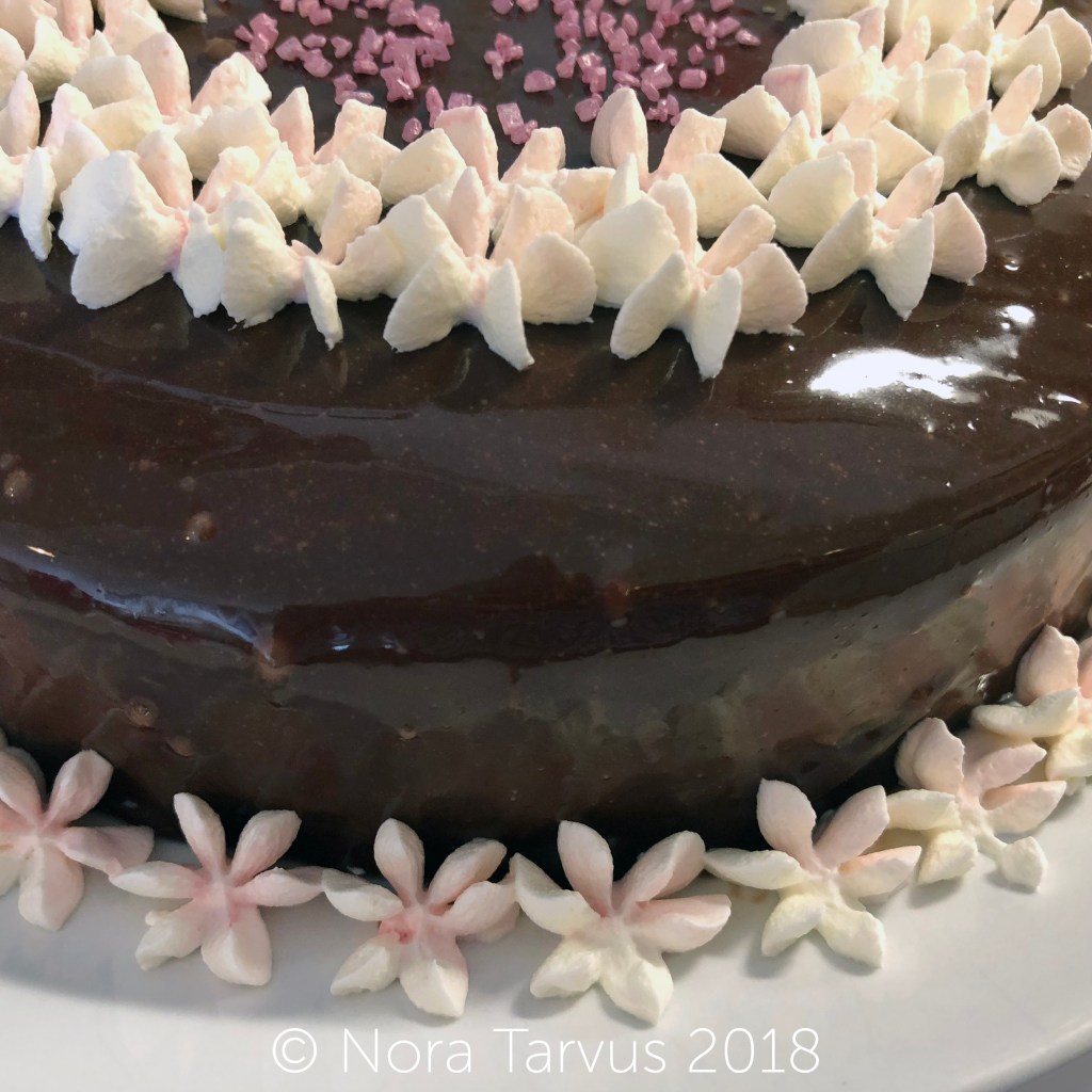 Chocolate Raspberry Mirror Cake – Dreamer Achiever