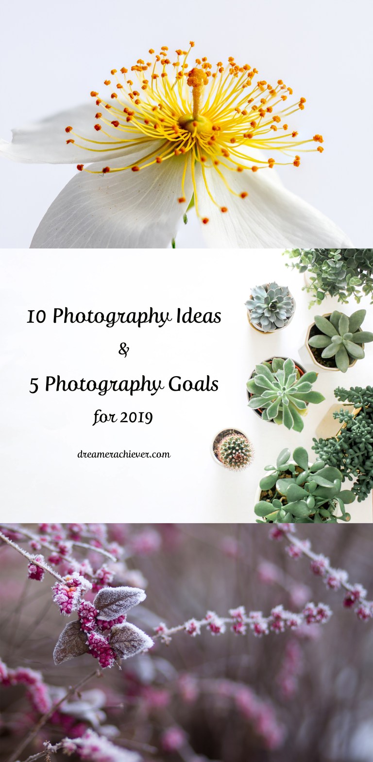 10 Photography Ideas & 5 Goals for 2019 – Dreamer Achiever