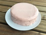 Raspberry Mirror Cake – Cake Party 4/8 – Dreamer Achiever