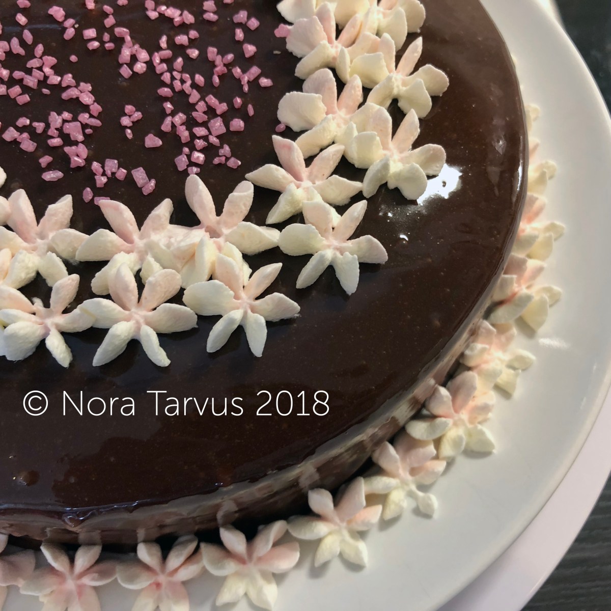 Chocolate Raspberry Mirror Cake – Dreamer Achiever